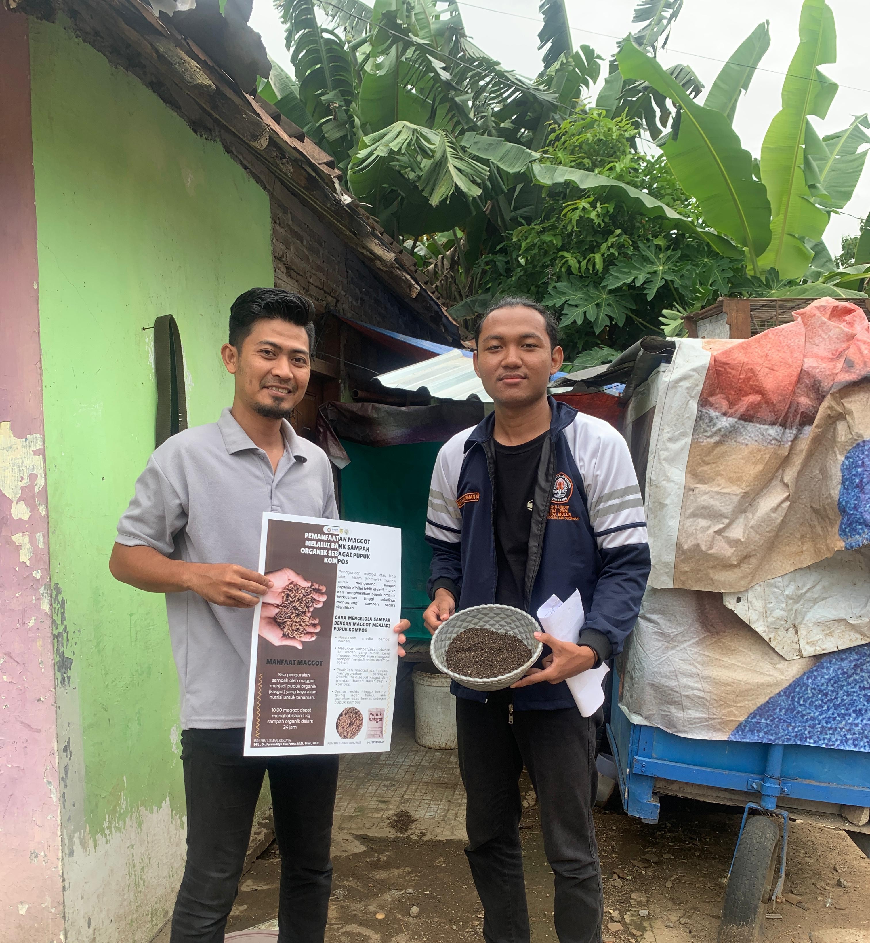 Pemanfaatan Maggot sebagai Pupuk Kompos di Dusun Gabahan Desa Mulur ...