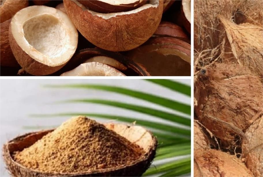 Ragam Gula dari Tanaman Palma | NNC Netralnews
