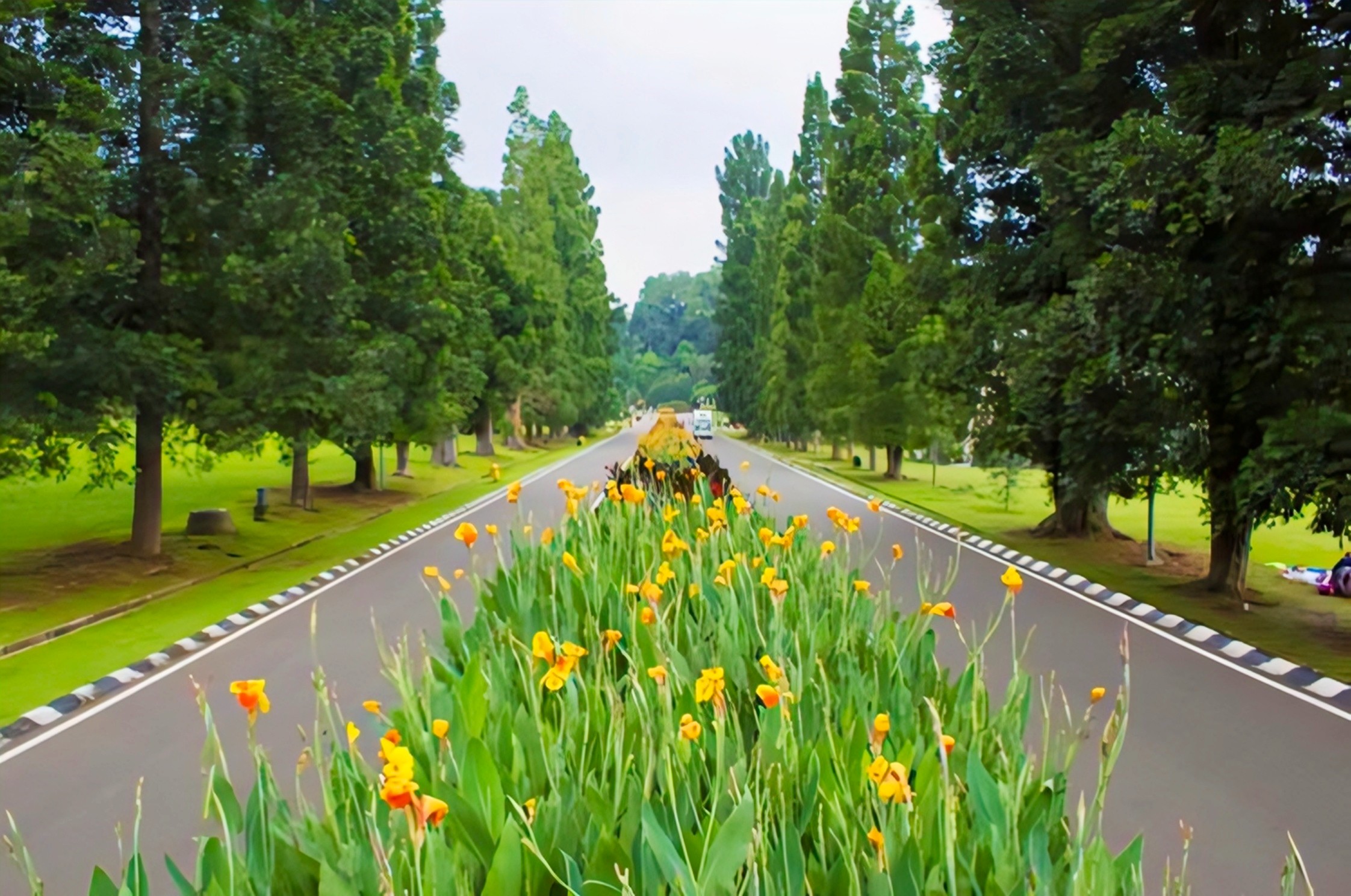 Four Tourist Spots Near Bogor Station that are Worth Visiting | NNC ...