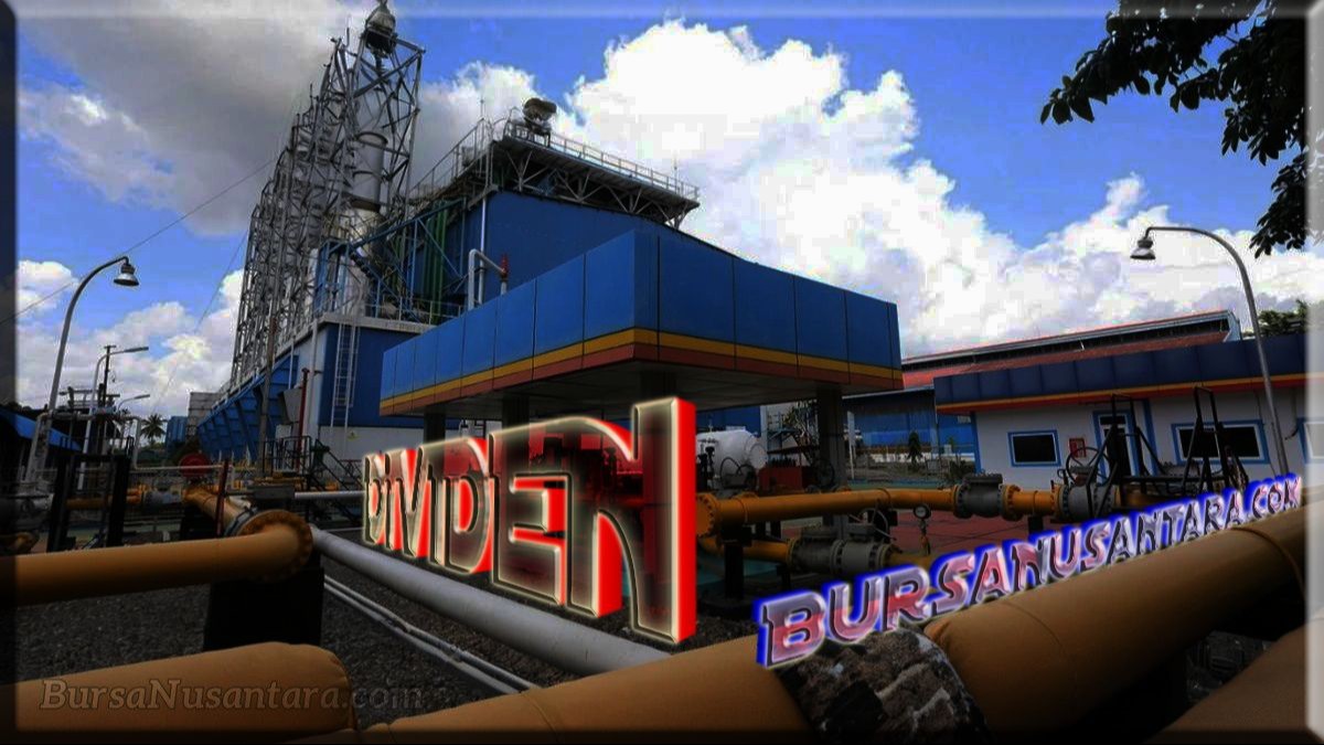 Payout Ratio RAJA Naik Jadi 55%, Dividen Rp60 per Saham | NNC Netralnews