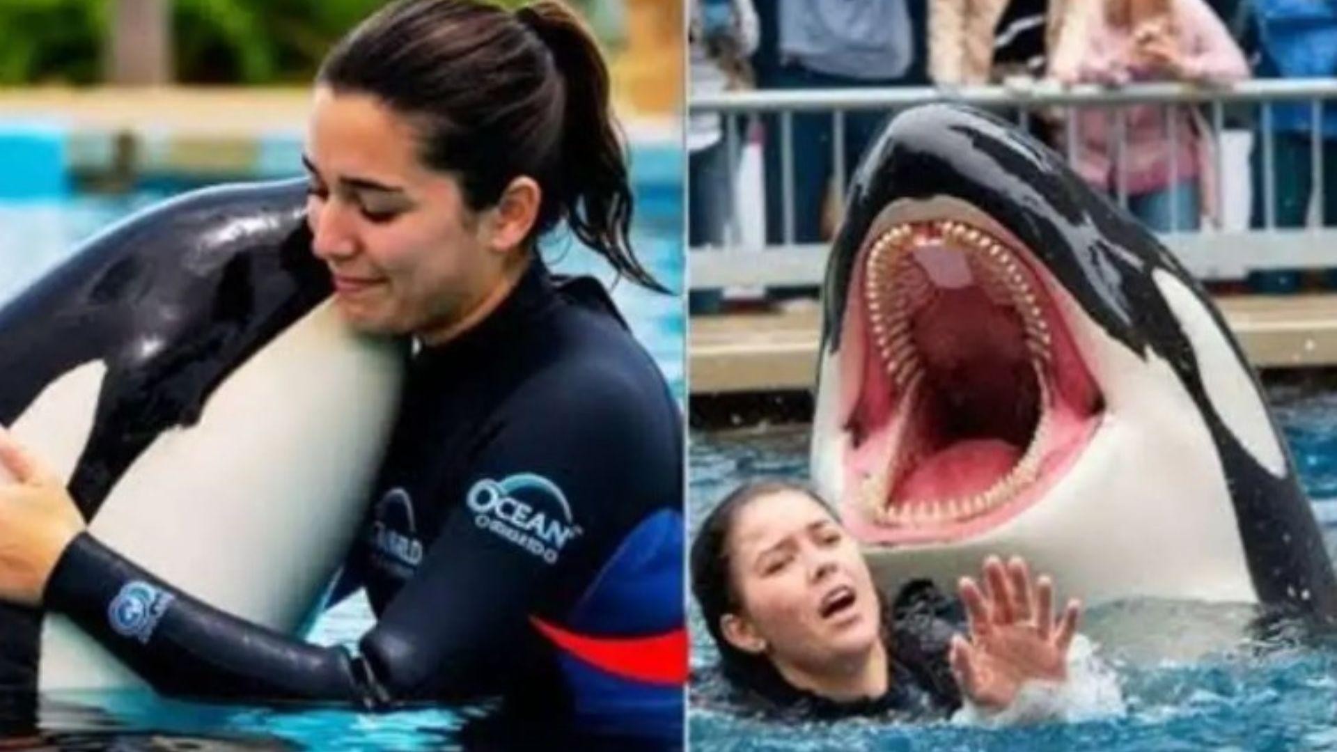 Fakta-Fakta di Balik Kabar Jessica Orca Meninggal yang Ternyata Hoaks | NNC Netralnews