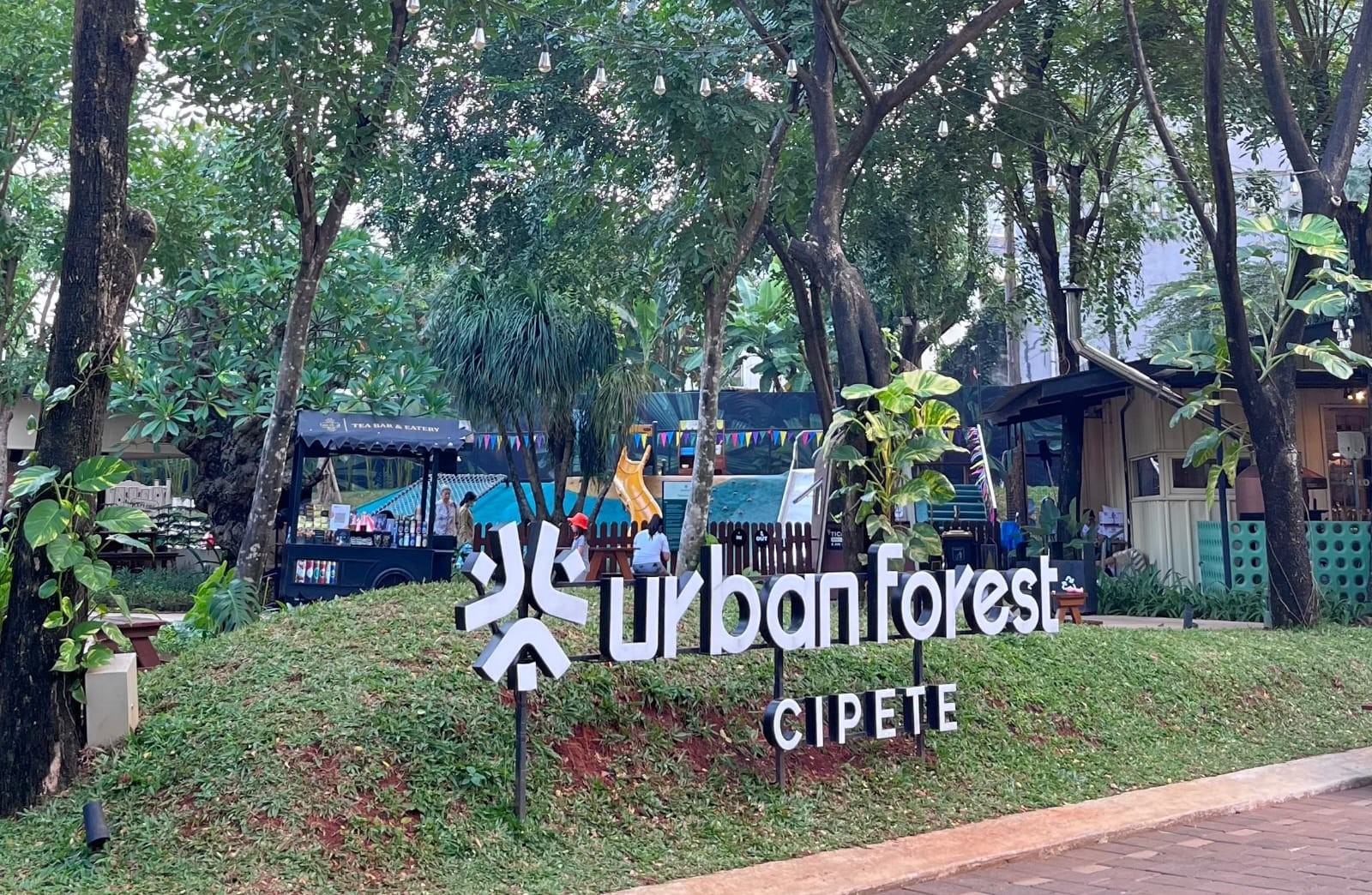 Urban Escape in the Heart of Jakarta: Discovering Urban Forest Cipete ...