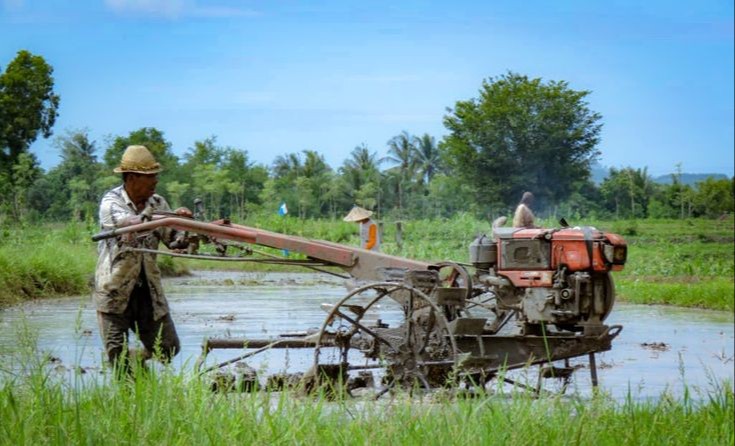 Agroindustri: Solusi Cerdas untuk Meningkatkan Nilai Tambah Pertanian ...