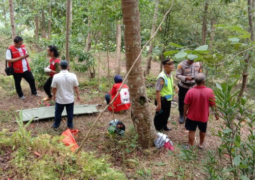 Tragis, Seorang Petani Asal Sruweng Kebumen Tewas Saat Memanen Buah ...