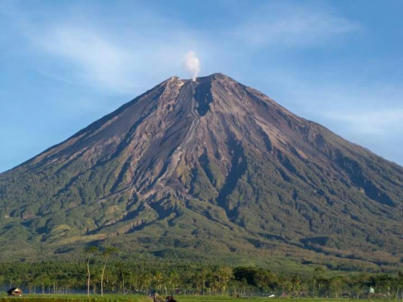 Bukit Simbar Semeru Lumajang, Objek Wisata yang Berhadapan Langsung ...