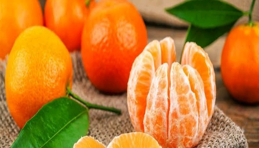 Inilah Beberapa Fakta Menarik Tentang Jeruk yang Harus Kamu Ketahui ...