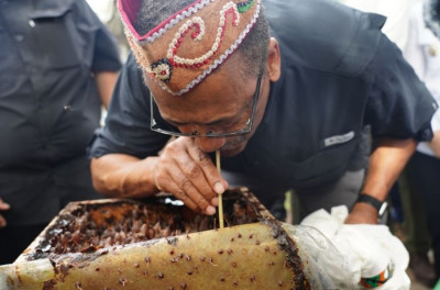 Kisah Inspiratif Suwandi Frans Sutoyo, Memanen Manisnya Madu Kelulut | NNC Netralnews