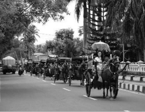 Sejarah Keberadaan Kuda Bendi di Payakumbuh sebagai Angkutan Andalan ...