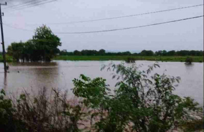 Hujan Lebat dan Sungai Meluap, 250 Hektare Sawah di Sumbawa Terendam Banjir | NNC Netralnews