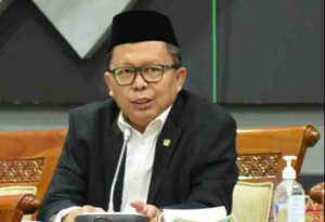 Kritik BEM UI Lewat Meme Puan Berbadan Tikus Tak Digubris DPR? | NNC ...