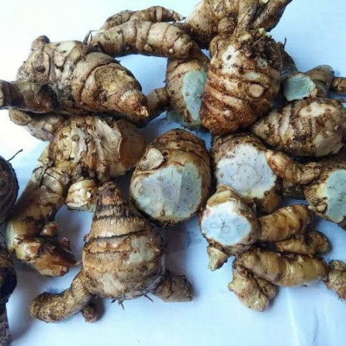Temu Ireng, Manfaat Luar Biasa untuk Kesehatan dan Lingkungan | NNC ...
