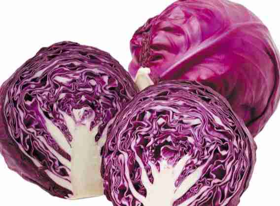7 Manfaat Kol Ungu untuk Kesehatan, Warnanya Cantik dan Banyak ...