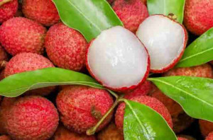 Manis Legit, Ini 9 Manfaat Buah Leci bagi Kesehatan yang Tak Diduga ...