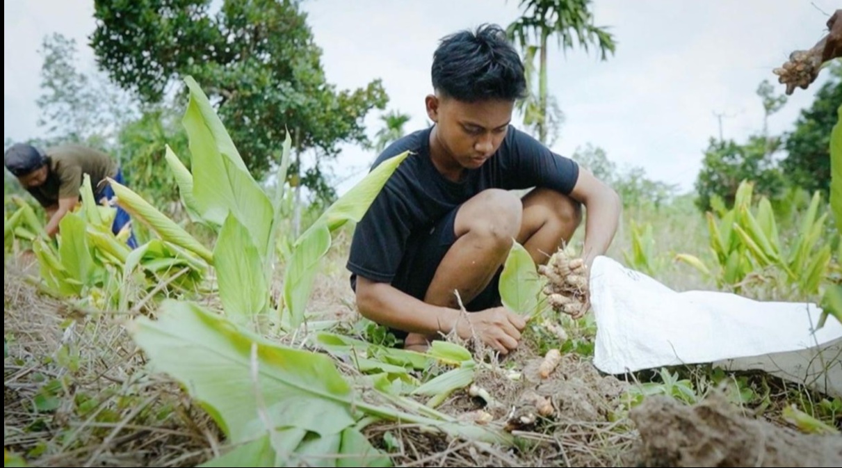 The Story of Ibru Village, The Best Digitalization, Most Innovative ...