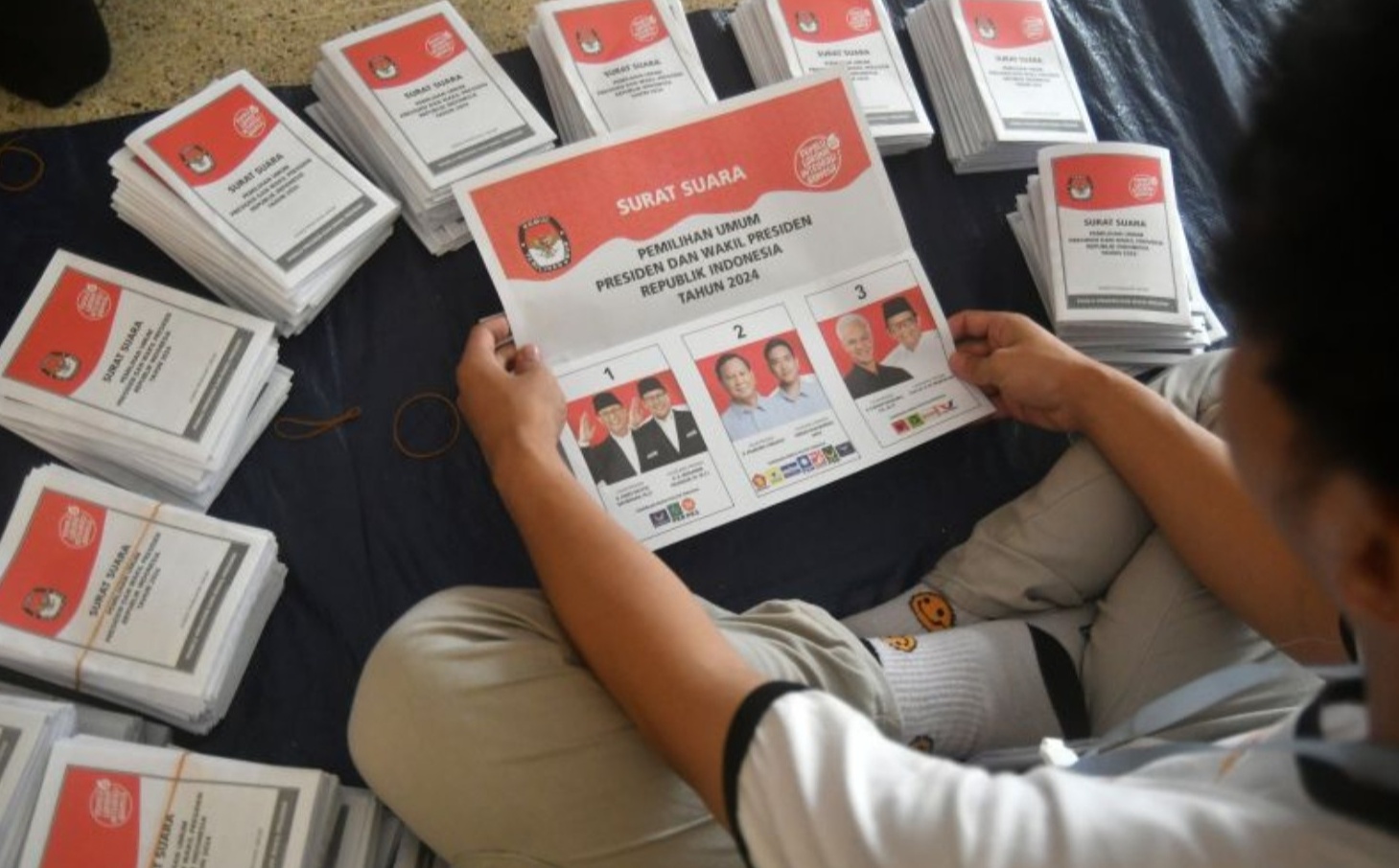 These are the Various Colors Used in the 2024 General Election Ballots ...