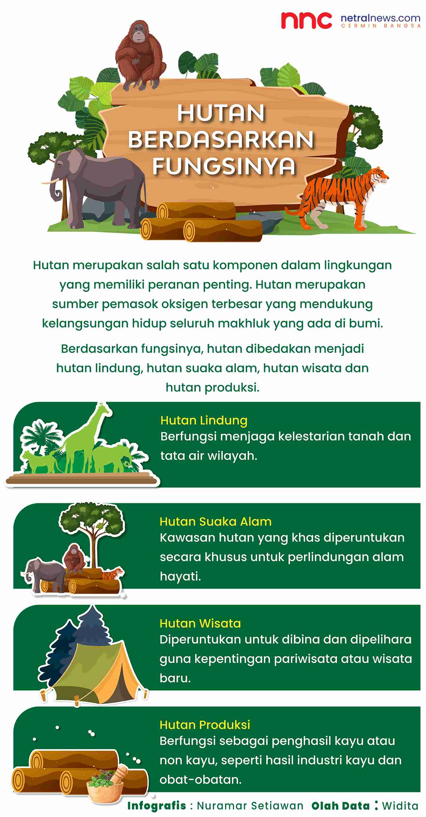 Mari Mengenal Bermacam Jenis Hutan | NNC Netralnews