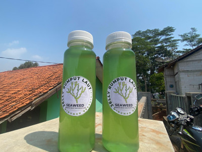 Mahasiswa Undip Kenalkan Jelly Drink Rumput Laut: Minuman Kekinian ...